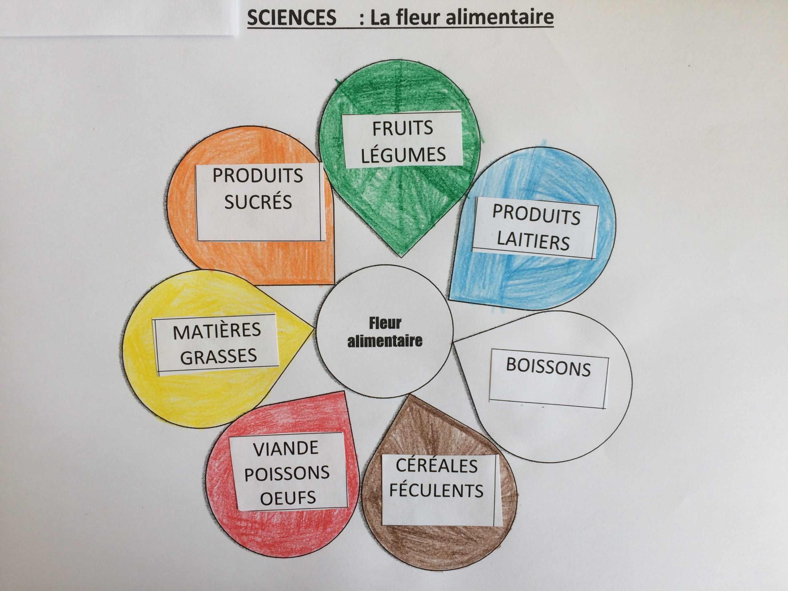 Sciences : l’alimentation avec les CM2 – Ecole Saint Joseph – Le Mesnil ...